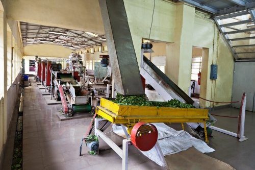 Tea processing plant at Tea Museum Munnar